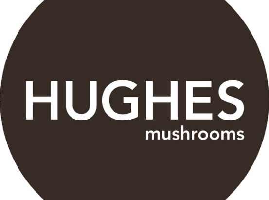 Hughes Schools Logo